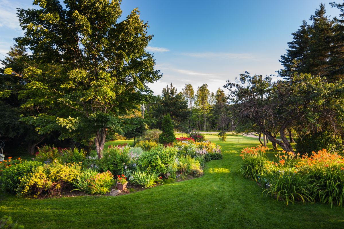 Landscape design principles: Make a backyard look expensive